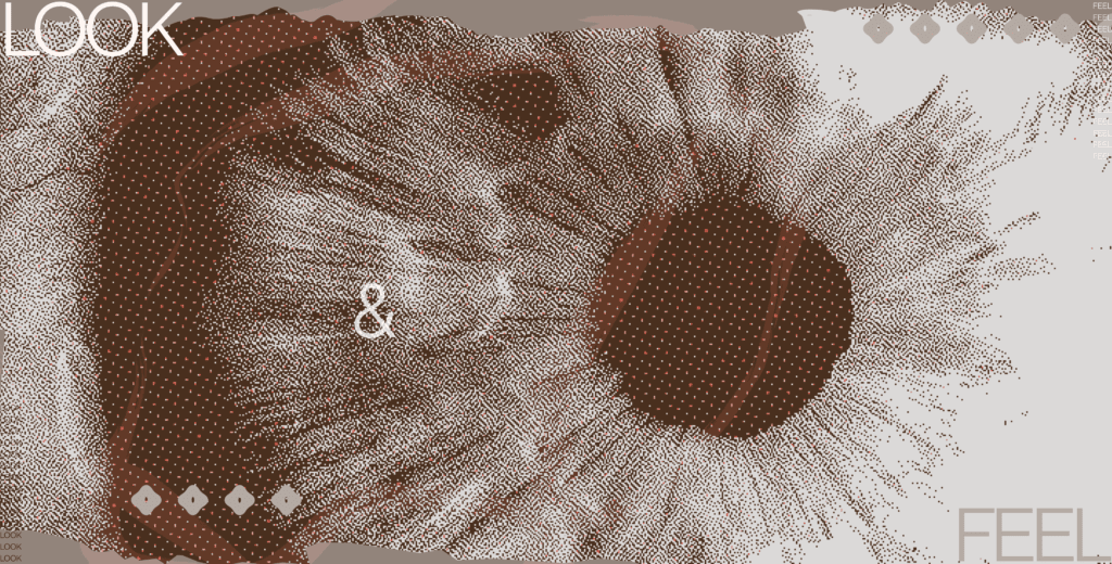 The Essential Guide to Website Look and Feel by Ester Digital